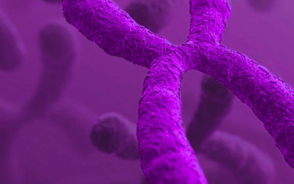 Update on the Beam GSD1a programme. - AGSD-UK